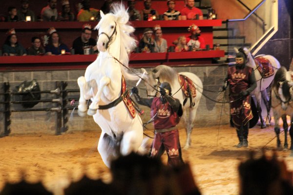 MEDIEVAL TIMES DINNER & TOURNAMENT - 680 Photos & 412 Reviews ...