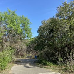 IGO LIBRARY - 40 Photos & 21 Reviews - 13330 Kyle Seale Pkwy, San ...