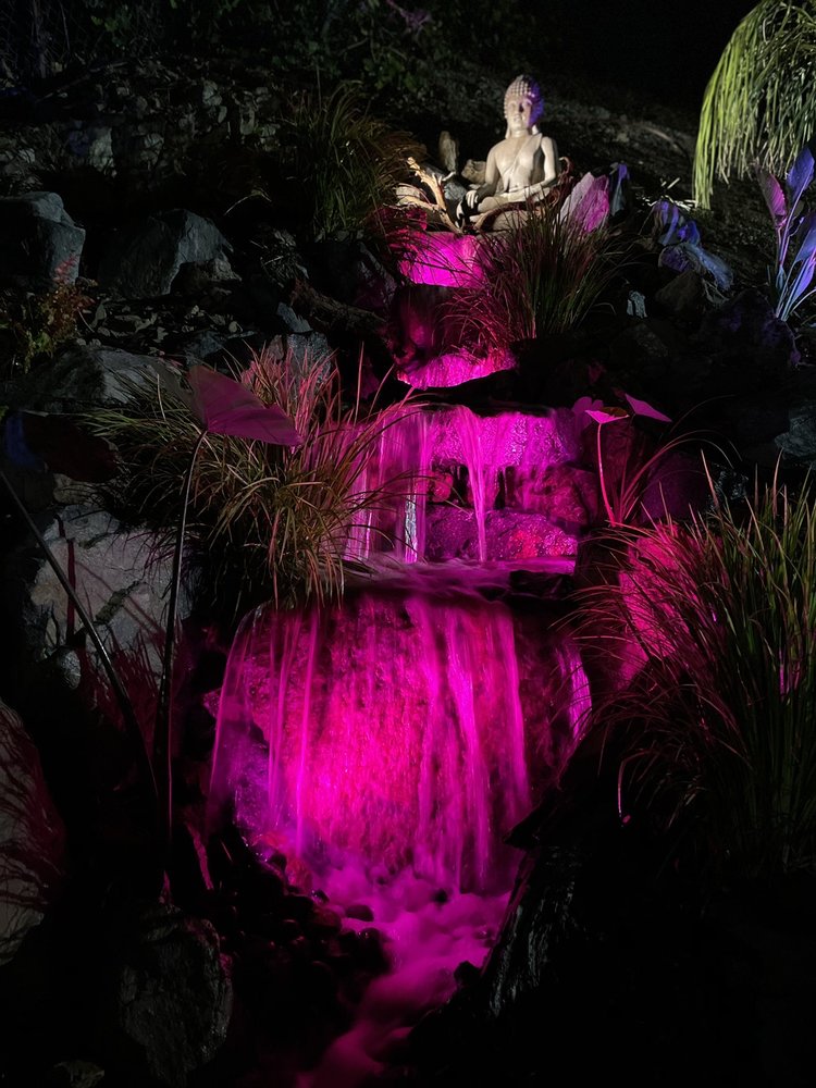 PARADISE PONDS & DESIGN - Updated December 2024 - 62 Photos - Palmdale ...