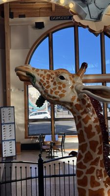 HISTORIC CAROUSEL & MUSEUM - Updated August 2025 - 139 Photos & 51 ...