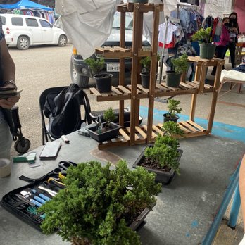 ALAMO FLEA MARKET - Updated December 2025 - 18 Photos & 13 Reviews ...