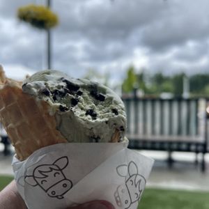 SWEETLEE’S ICE CREAM - Updated July 2025 - 69 Photos & 50 Reviews ...