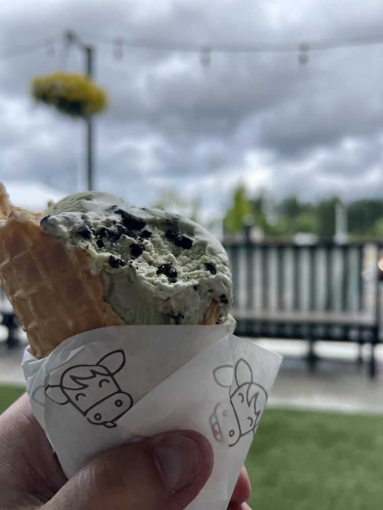 HUMBLE COW ICE CREAM - Updated August 2025 - 14 Photos & 13 Reviews ...