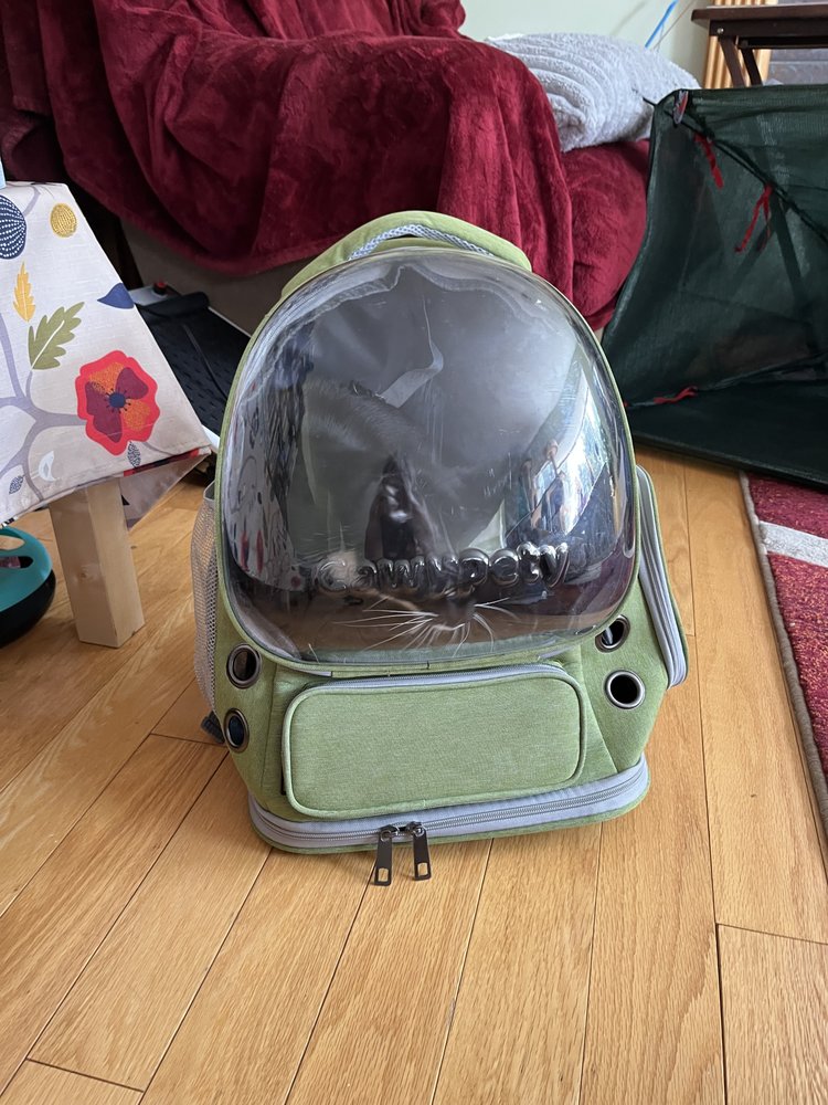 YELLOW CAB - Updated January 2026 - 15 Photos & 133 Reviews - 10135 31 ...