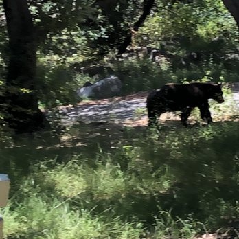 MONROVIA CANYON PARK - Updated September 2025 - 1286 Photos & 317 ...