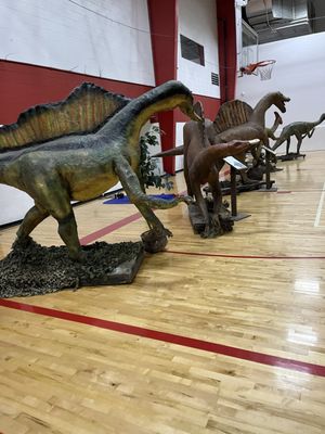 HYPE ATHLETICS - Updated June 2026 - 21 Photos & 11 Reviews - 4635 Howe ...