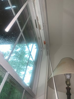 VAIRO VILLAGE - 37 Photos & 11 Reviews - 10 Vairo Blvd, State College ...