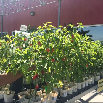 CAL POLY POMONA FARM STORE - Updated June 2024 - 767 Photos & 199 ...