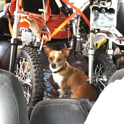 GRESHAM POWERSPORTS - Updated December 2025 - 11 Photos & 19 Reviews - 993 NE Kane Dr, Gresham ...