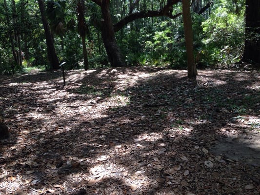 NATIVE AMERICAN SHELL RING - Updated December 2025 - 13 Photos - Fish ...