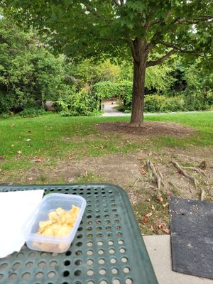 BOSTON NATURE CENTER & WILDLIFE SANCTUARY - Updated August 2025 - 32 ...