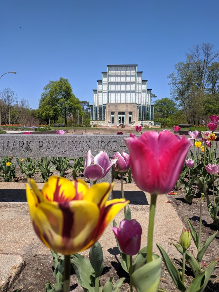 THE JEWEL BOX - 121 Photos & 38 Reviews - 5600 Clayton Ave, Saint Louis ...