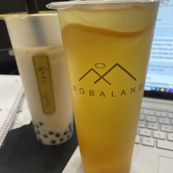 BOBALAND - Updated June 2025 - 391 Photos & 200 Reviews - 244 S ...