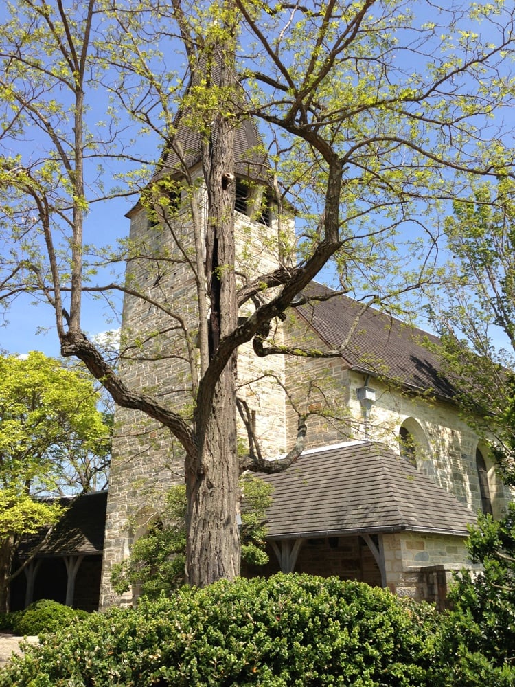 TRINITY EPISCOPAL CHURCH - Updated July 2025 - 9108 John S Mosby Hwy ...