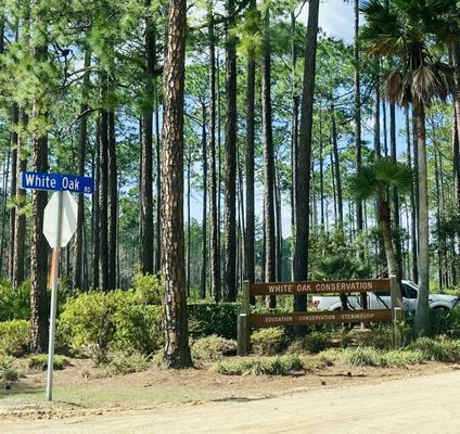 WHITE OAK - Updated September 2025 - 76 Photos & 11 Reviews - 581705 ...