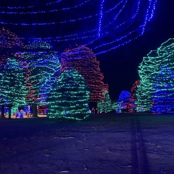 ROSE TREE PARK - Updated January 2026 - 347 Photos & 31 Real Reviews ...