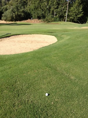 BIDWELL PARK GOLF COURSE - Updated October 2025 - 27 Photos & 25 ...