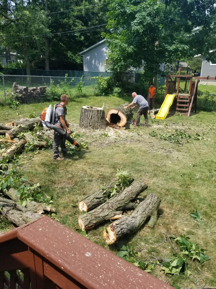 TIMBERMEN TREE SERVICE - Updated July 2024 - 14742 Il Rt 64, Rochelle ...