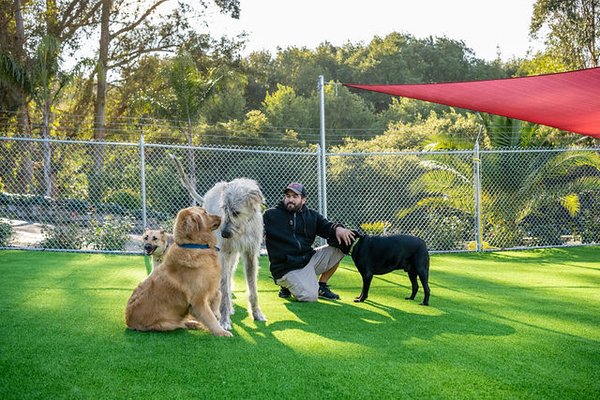 CLUB K9 - Updated October 2025 - 128 Photos & 131 Reviews - 5815 ...