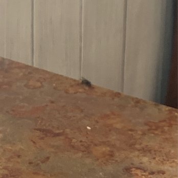 PIZZA RANCH - Updated December 2025 - 17 Photos & 50 Reviews - 1266 ...