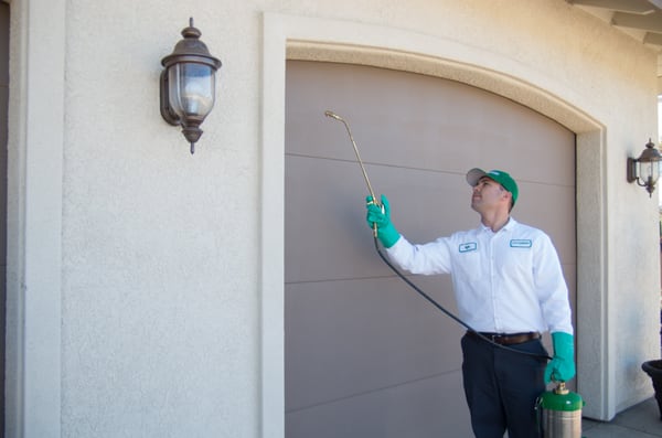 PRO ACTIVE PEST CONTROL - Updated October 2025 - 69 Photos & 1041 ...