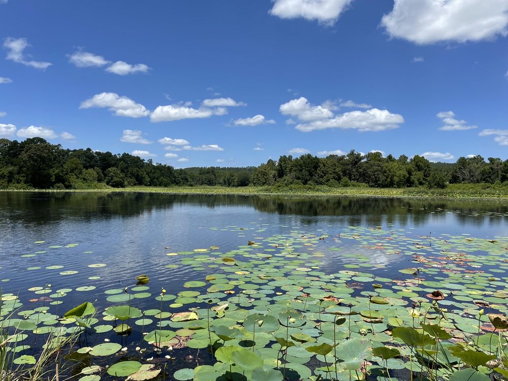 TEXAS STATE RAILROAD PALESTINE DEPOT - 206 Photos & 92 Reviews - 789 ...
