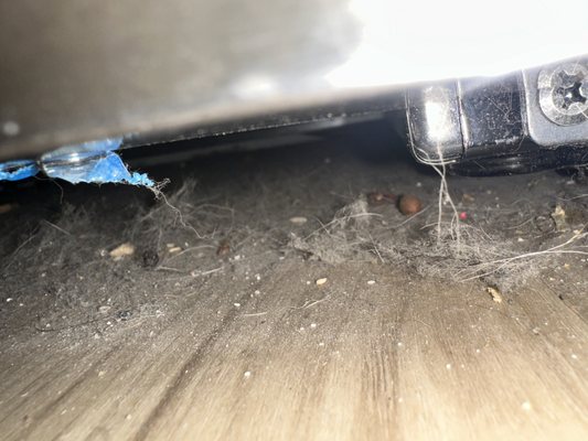 CAPITAL PROPERTY MANAGEMENT - Updated January 2026 - 12 Photos & 122 ...