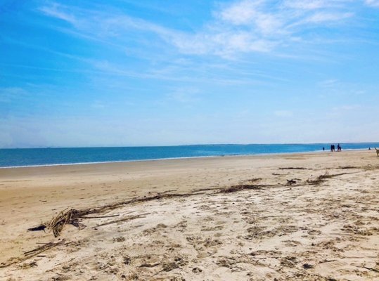 BLOODY POINT BEACH - Updated December 2025 - Bloody Point Dr, Daufuskie ...