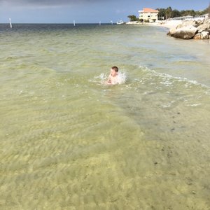 NORTH ANCLOTE SANDBAR - Updated December 2025 - Odessa, Florida ...