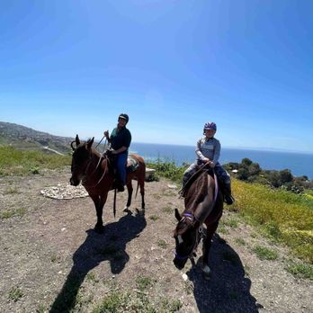 OCEANVIEW PERFORMANCE HORSES - Updated January 2026 - 40 Photos - 40 ...