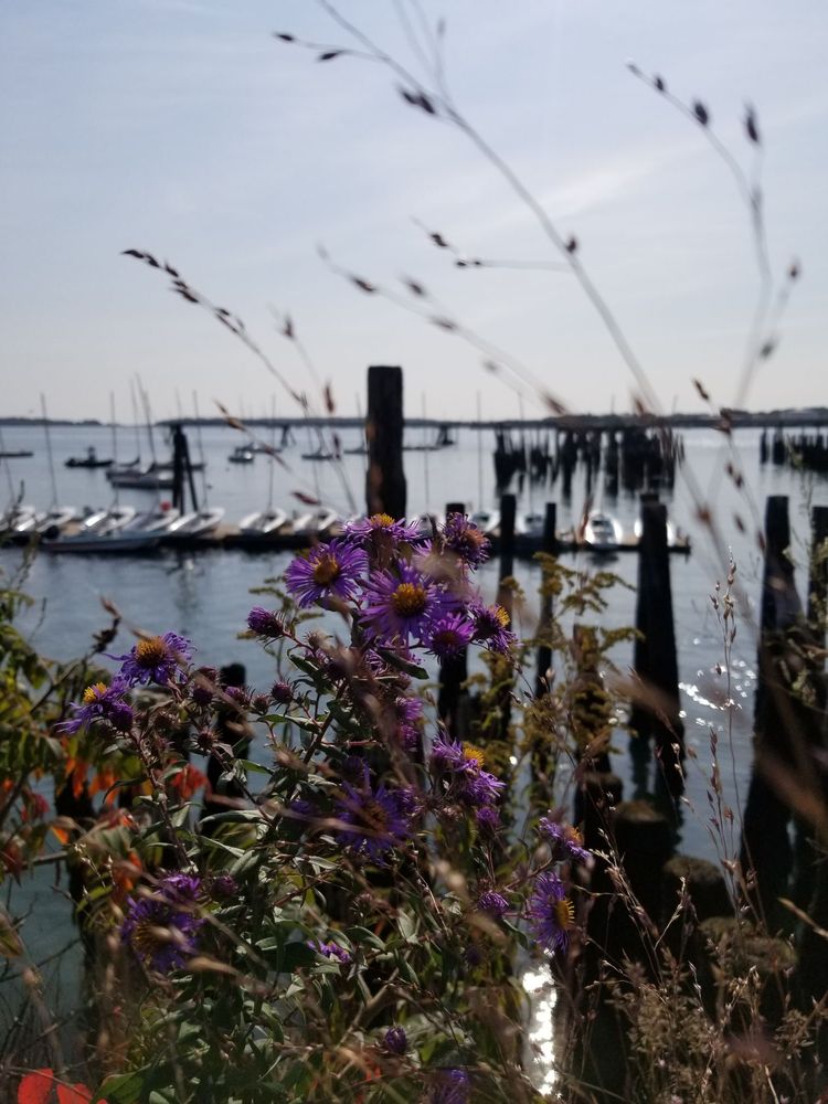 OCEAN GATEWAY - Updated November 2024 - 51 Photos - 14 Ocean Gateway ...