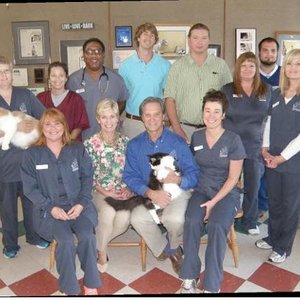 INDIAN RIDGE ANIMAL HOSPITAL - Updated October 2025 - 1100 Indian Trail ...