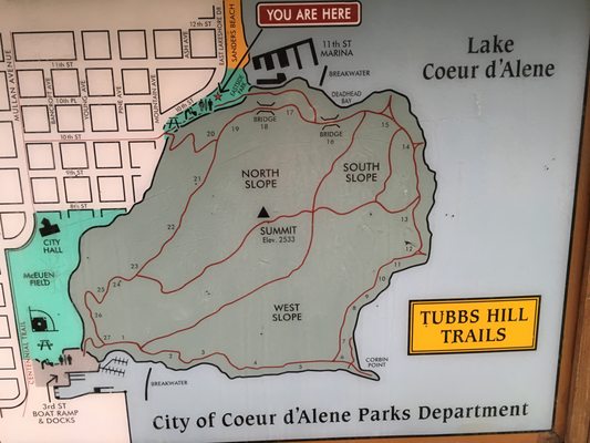 Tubbs Hill - 137 Photos & 49 Reviews - Hiking - 710 E Mullan Ave, Coeur ...