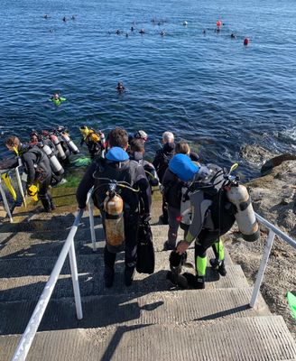 DIVE N’ SURF - 98 Photos & 154 Reviews - 504 N Broadway, Redondo Beach ...