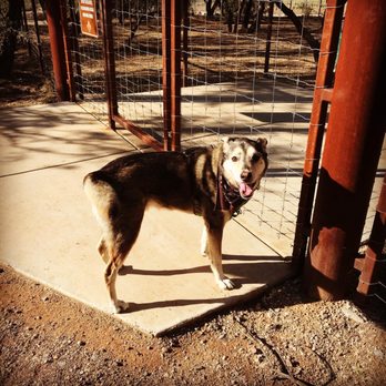 SMILING DOG RANCH AT GEORGE MEHL FAMILY PARK - Updated August 2025 - 27 ...
