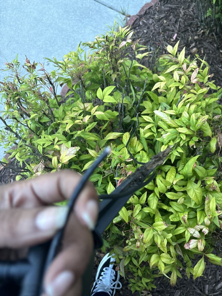 JD HARRIS LANDSCAPING - TEMP. CLOSED - Updated September 2025 - 25 ...