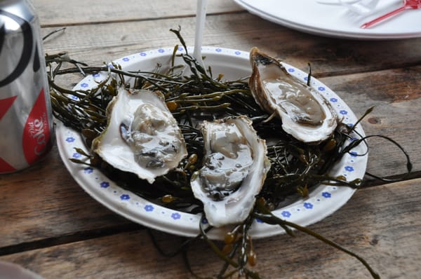 RYER’S LOBSTERS - Updated December 2025 - 57 Photos & 35 Reviews - 8494 ...