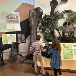 ROCKY MOUNTAIN DINOSAUR RESOURCE CENTER - 131 Photos & 85 Reviews - 201 ...