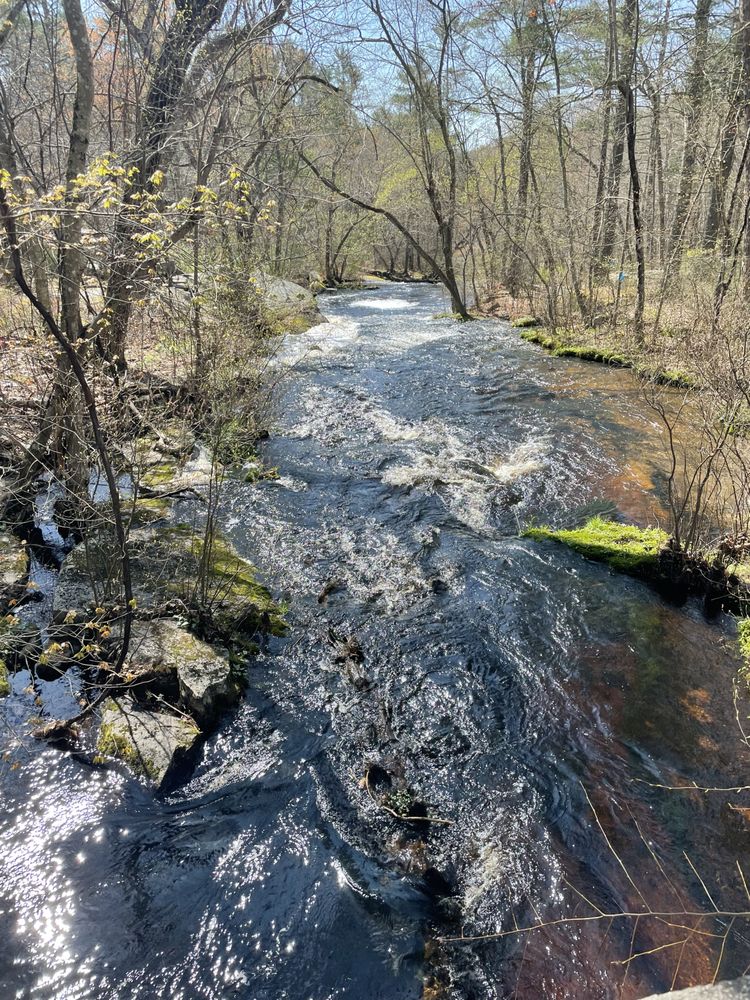 BEN UTTER TRAIL - Updated August 2025 - 89 Photos & 15 Reviews - Exeter ...