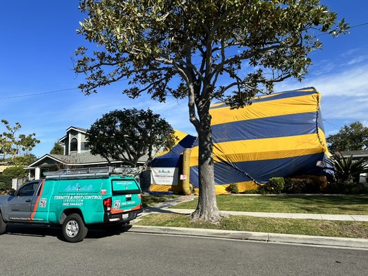 LONG BEACH TERMITE & PEST CONTROL - Updated January 2025 - 77 Photos ...