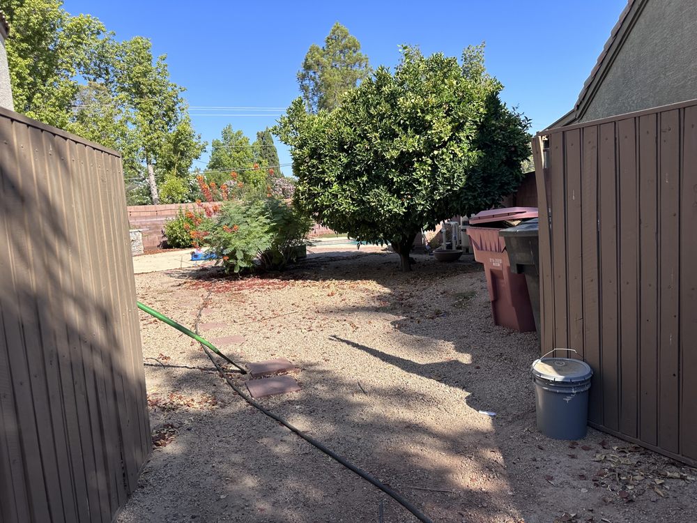 DESERT SAGE LANDSCAPING - Updated September 2025 - 227 Photos & 63 ...
