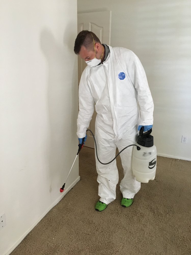 GREEN MACHINE PEST CONTROL - Updated December 2025 - 64 Photos & 13 ...