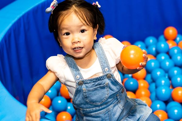 BALL FACTORY MOUNT PROSPECT - Updated August 2025 - 161 Photos & 109 ...