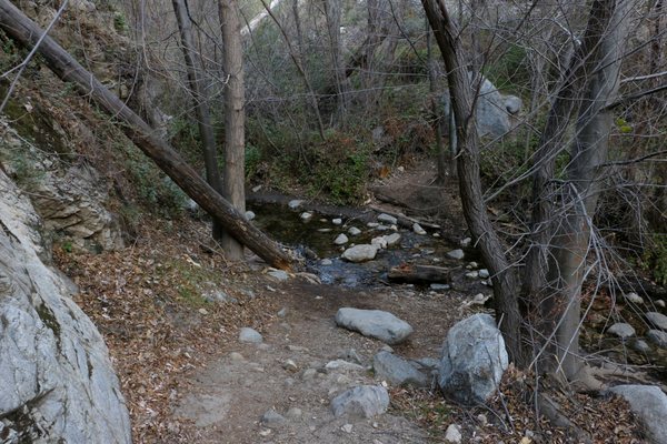 TRAIL CANYON FALLS - Updated March 2025 - 511 Photos & 113 Reviews ...