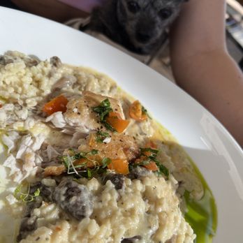 TOMMY BAHAMA RESTAURANT | BAR | STORE - JUPITER - Updated June 2024 ...