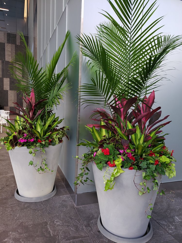 TU BLOOM DESIGNS - Chicago, IL - Yelp