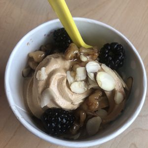 FROYOZ - 28 Photos & 26 Reviews - Ice Cream & Frozen Yogurt - 2607 US ...