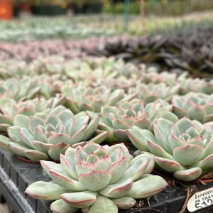 OLD HOOK FARM - Updated January 2026 - 30 Photos & 14 Reviews - 650 Old ...