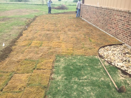 KING RANCH TURFGRASS - Updated December 2025 - 26 Photos & 65 Reviews ...