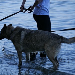 EAGLE TREE RV PARK - 11 Photos & 25 Reviews - Campgrounds - 16280 State ...